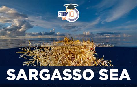 Sargasso Sea Map Location Geography Boundaries