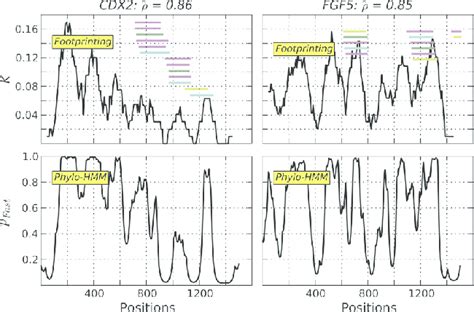 Comparison Of The Substitution Signal Estimated Using Phylogenetic