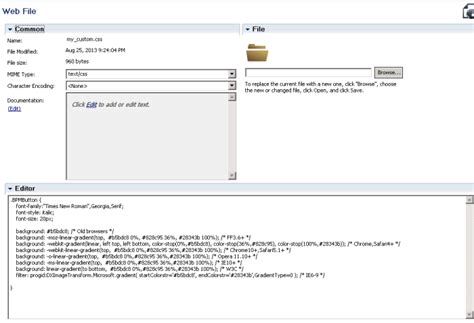 Customizing Coach Views For IBM Business Process Manager BPM With Cascading Style Sheets