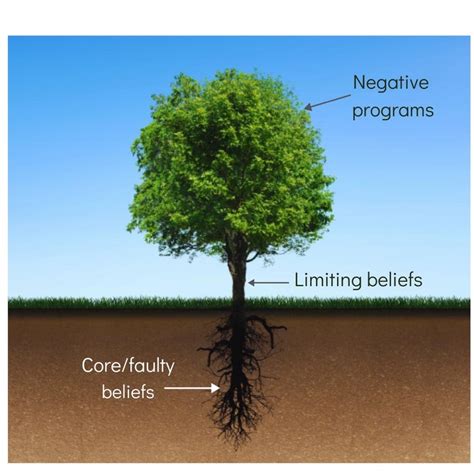 The Belief Code Certified Belief Code Practitioner