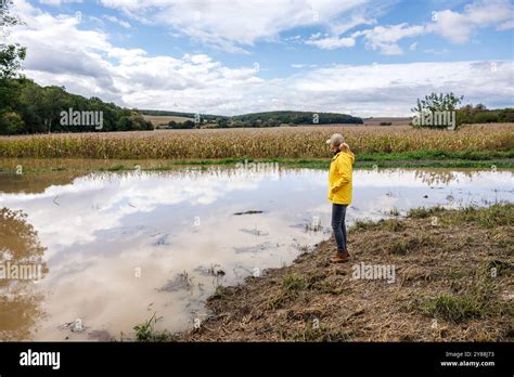 Worried Female Farmer Looks At Flooded Corn Field Impact Of Climate