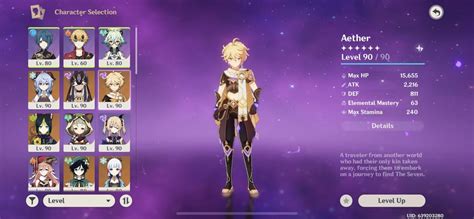 What Team And Build Should I Give Physical Electro Aether Please