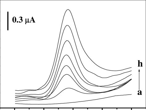 Dpv Curves Obtained In 01 M Hclkcl Buffer Ph 1 Using Gceattanh 3
