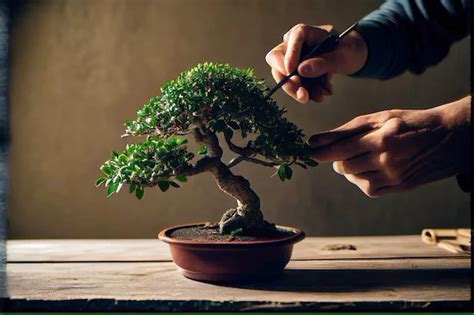 Bonsai Classes Event — Central Coast Bonsai Club Inc