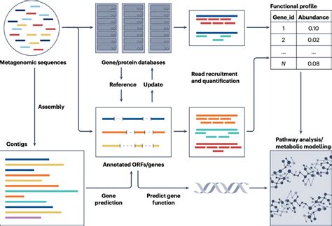 Analysis Of Metagenomic Data Pmc