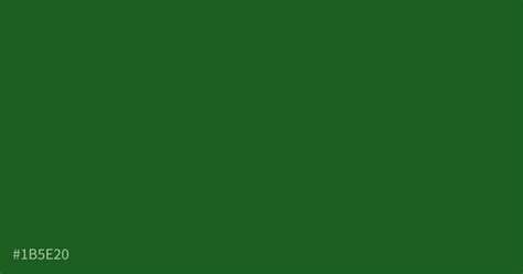 1b5e20 Hex Color Shades And Complementary Colors