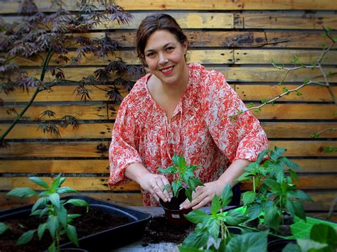 New Chilli Varieties