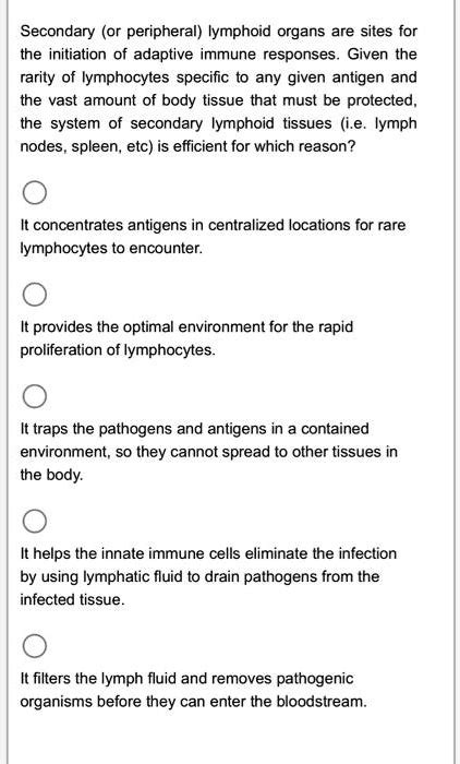 Secondary Or Peripheral Lymphoid Organs Are Sites For The Initiation Of