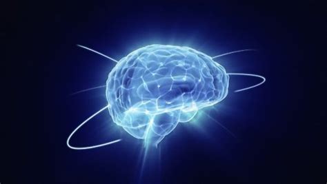 10 Interesting Memory Facts My Interesting Facts