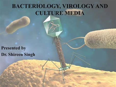 Morphology And Physiology Of Bacteria Pptx Biological Sciences Science