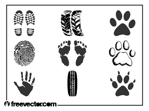 Prints And Traces Vector Set Vector Art And Graphics