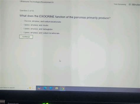 What Does The Exocrine Function Of The Studyx