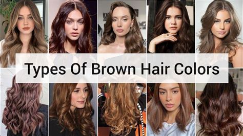 Brown Hair Types Colour Type Of Brown Hair Shades