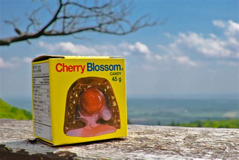 Cherry Blossom Candy And Chocolate In 2025