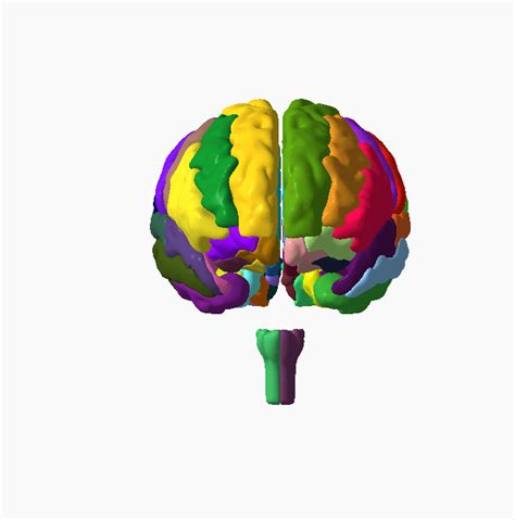 Archivo 3d Segment Of Brain Segmented Model In 61 Parts 🧠 ・objeto Para