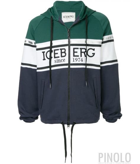 Теплая мужская олимпийка ICEBERG с логотипом сине-зеленая - купить в ...