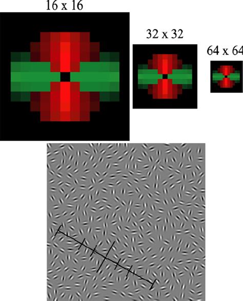 The Size Of Kernels At Each Of The Three Scales Is Shown Compared With Download Scientific
