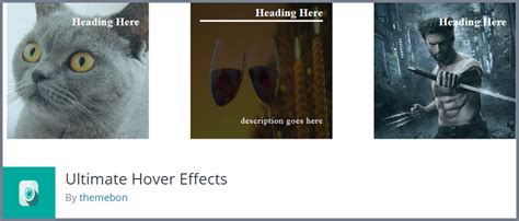 10 Best Wordpress Animation Plugins 2023