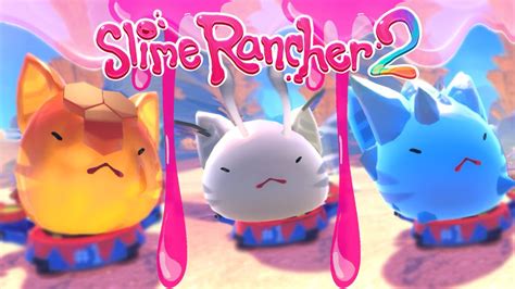 What Do Tabby Cats Eat Slime Rancher At Inez Smith Blog