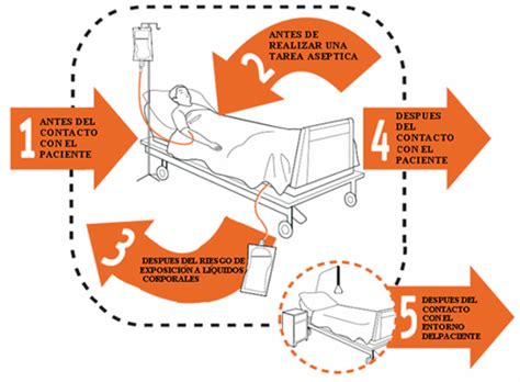 Seguridad Del Paciente Taller De Formación De Formadores Sobre Los 5