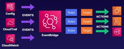 Monitoring Flashcards Quizlet