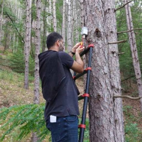 Lorawan® Early Forest Fire Detection System At Florina Greece — Cyric Iot