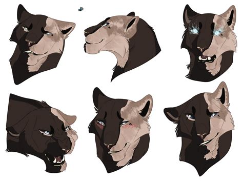 C Expression Chart Lazare By Celestial Drift On Deviantart