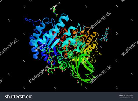 1 Melibiose 图片、库存照片和矢量图 Shutterstock