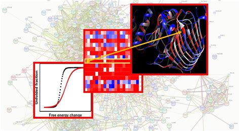 Proteins From Genetic Eye Disorder Nei Data Commons