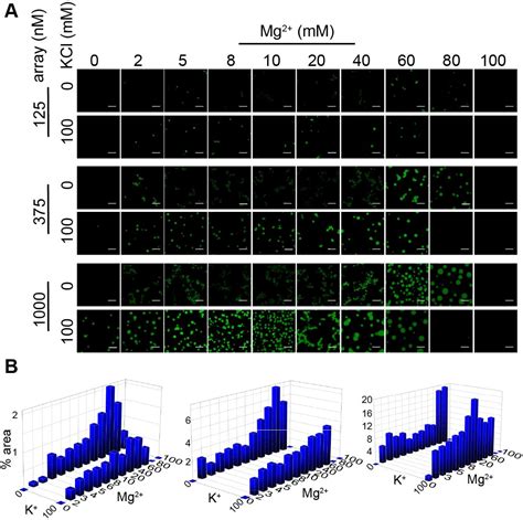 Figure 1 From Chromatin Liquidliquid Phase Separation Llps Is
