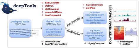 Deeptools Tools For Exploring Deep Sequencing Data — Deeptools 2 0 0 Documentation