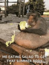 Fat Women Memes S Tenor