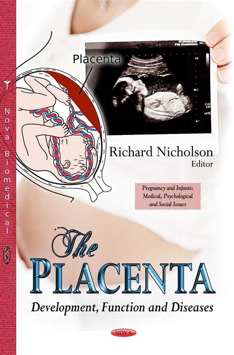 The Placenta Development Function And Diseases Pregnancy And Infants