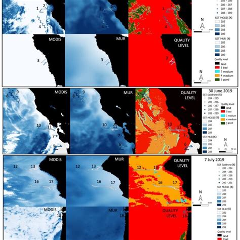 Sst And Quality Level Maps For All The Dates And For The Three
