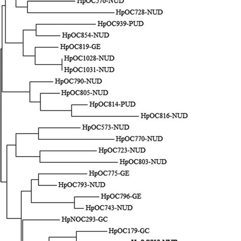 Partial Amino Acid Sequence Alignment Of Cagl From 46 H Pylori Clinical Download Scientific