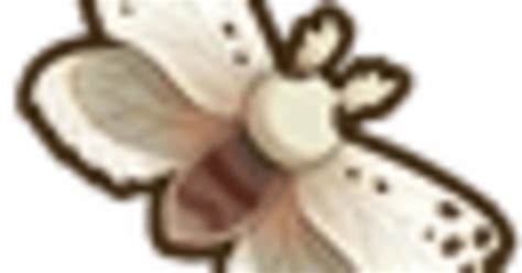 Yucca Moth Coral Island Catching Guide