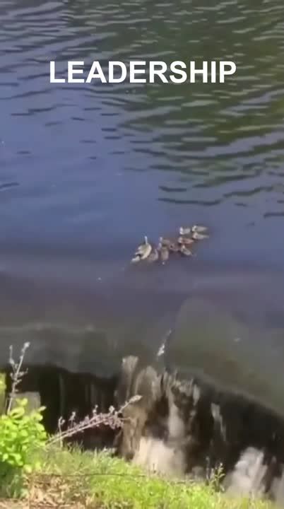 Amit Dhand On Linkedin A True Leader Leads By Example