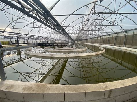 Algen On Linkedin Algae Fertilizers Organic Biostimulants