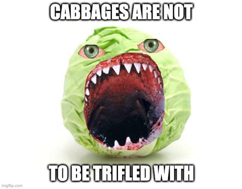 Cabbage Meme Meaning At Damian Goad Blog