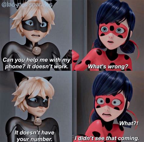Pin By David Keam On Miraculous Miraculous Ladybug Anime Miraculous