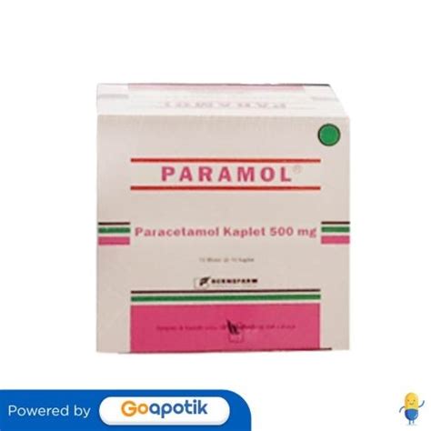 Jual Paramol 500 Mg Box 100 Kaplet Shopee Indonesia
