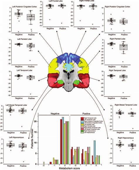 Quantitative And Qualitative Pet Image Analysis The Box Plot Graphics