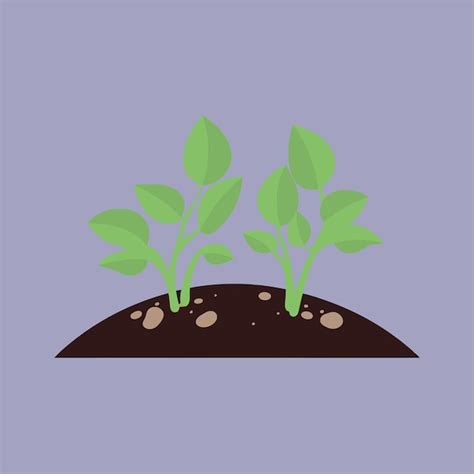 Premium Vector Plant Growing In The Ground Vector