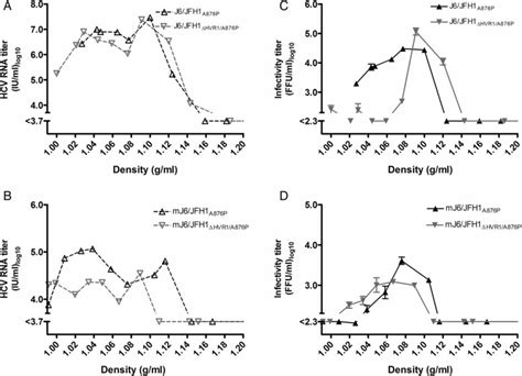 Equilibrium Buoyant Density Centrifugation Of In Vitro And In Vivo Download Scientific Diagram