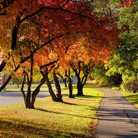 Hydropoint Data Systems On Linkedin Hydropoint Smartirrigation