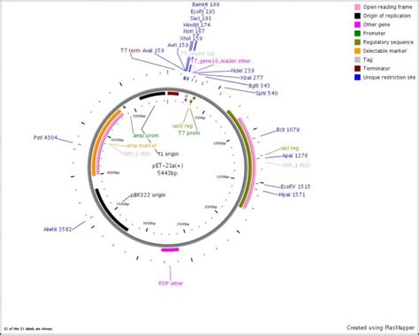 Pet 21a Image Made With Plasmapper