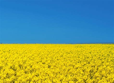 Cloud Computing Services By Cloudferro