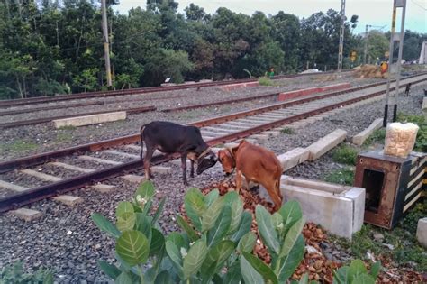 Tapabrata Tapabratastreet01 • Instagram Photos And Videos