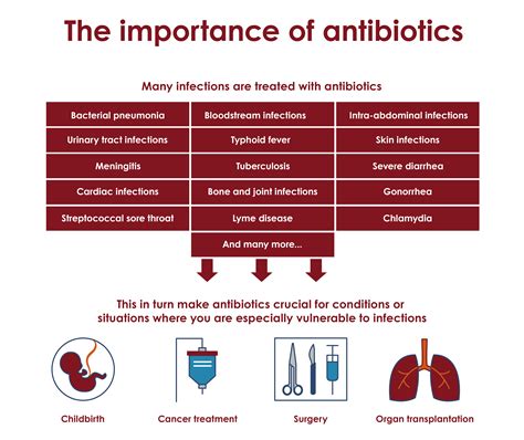 Many Lives Were Saved Through The Introduction Of Antibiotics