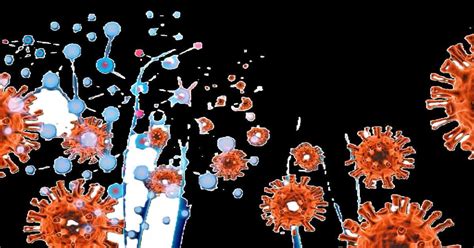 What Is Virus Lovhind